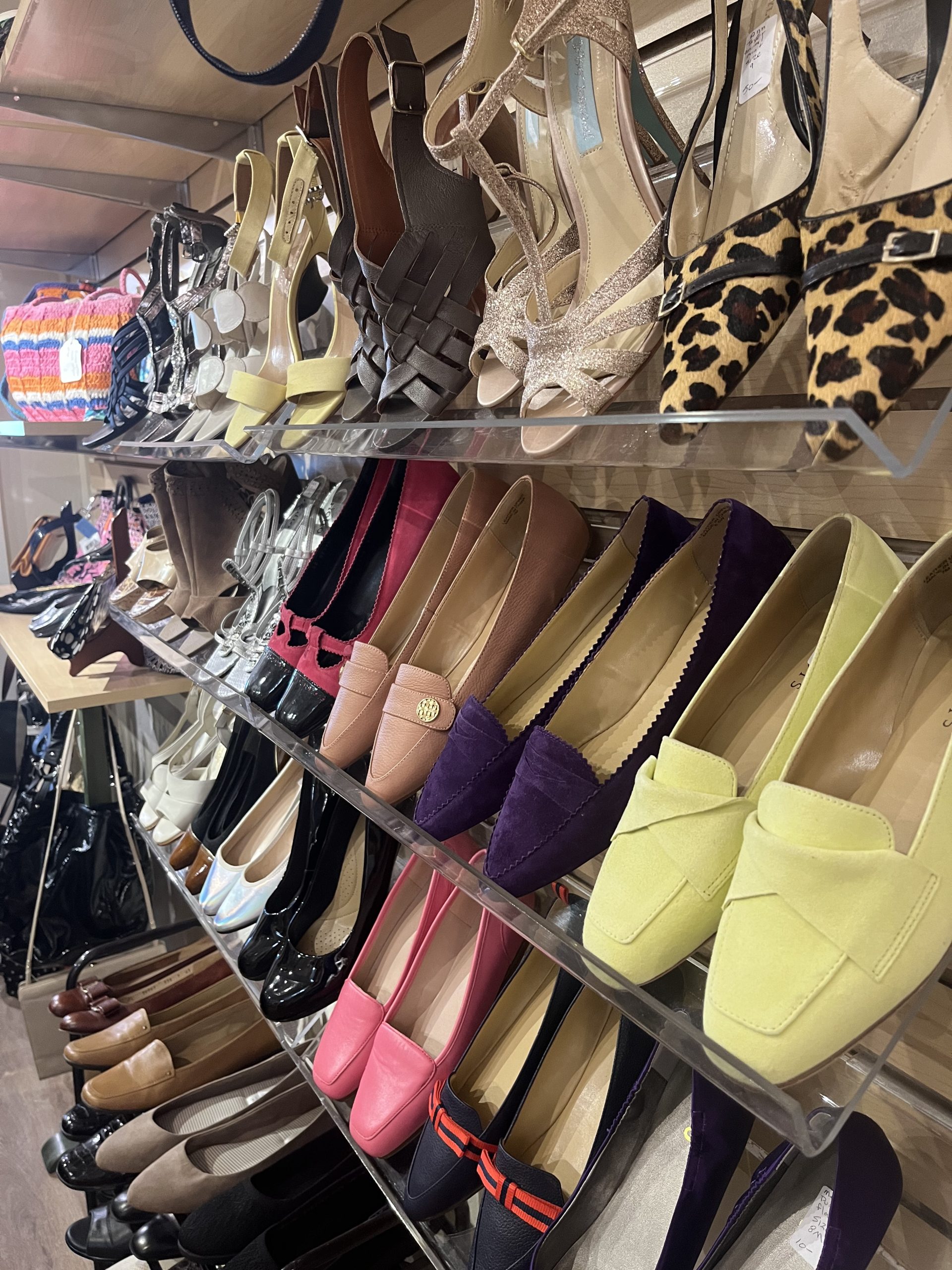 News – The Echo Shop